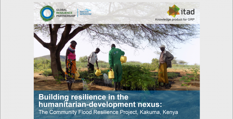 Building resilience in the humanitarian-development nexus: The ...