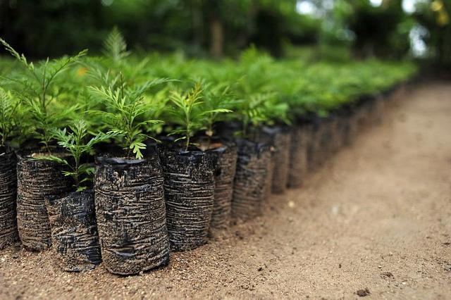 Evaluation of a climate-smart business programme | Itad