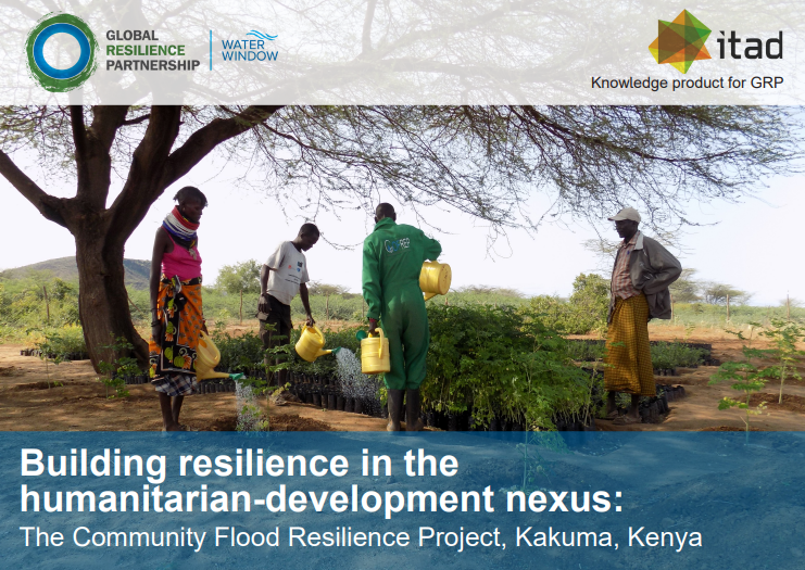 Building resilience in the humanitarian-development nexus: The ...