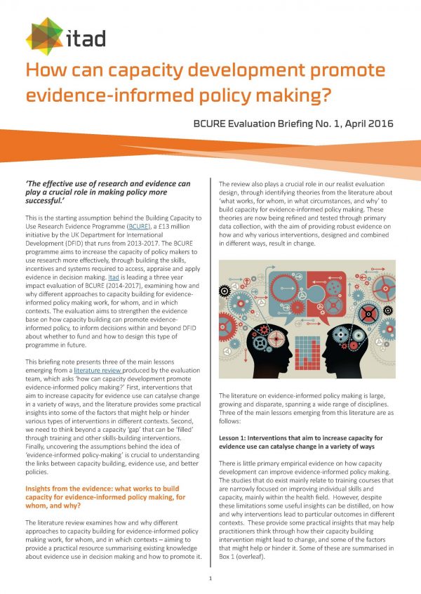 How can capacity development promote evidence-informed policy making ...
