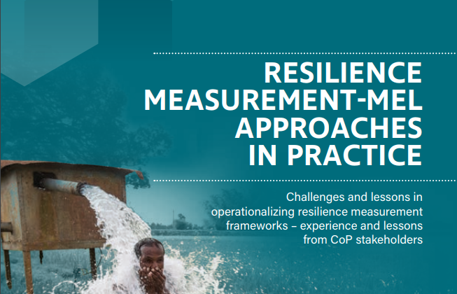 Resilience Measurement – MEL approaches in practice | Itad