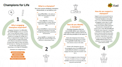 Champion building for advocacy: what is it and when to use it? | Itad