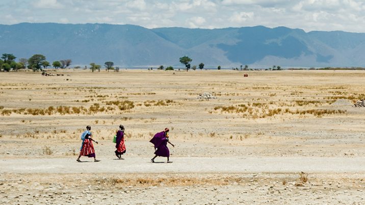 Action on climate change | Itad