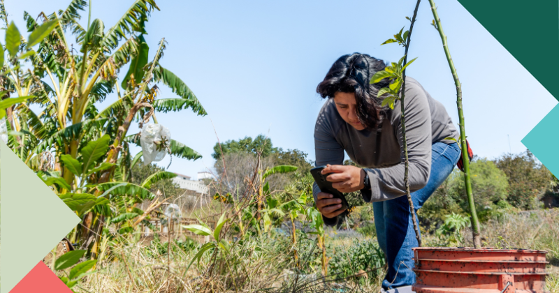 Maximising the effectiveness of Defra programming | Itad