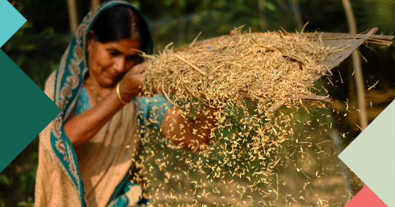 Equitable innovation through strategic research collaboration | Itad